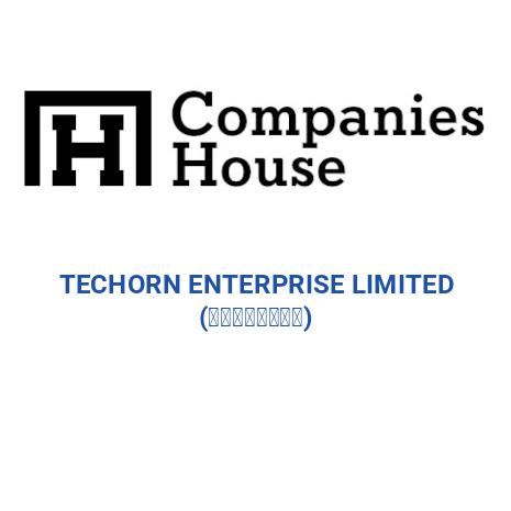 TECHORN ENTERPRISE LIMITED (泰隆企業有限公司)